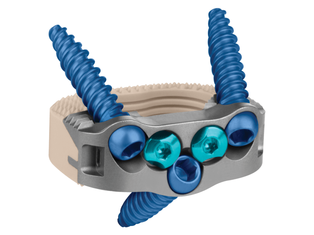 Anterior Lumbar | International