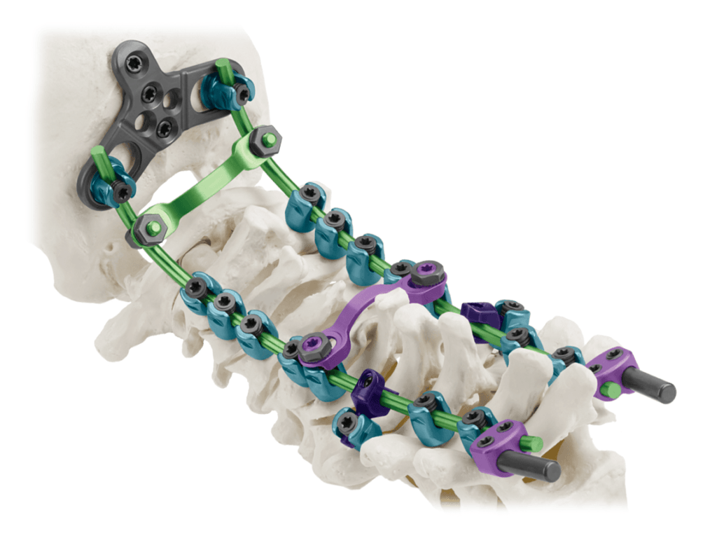 Posterior Cervical Spine | International