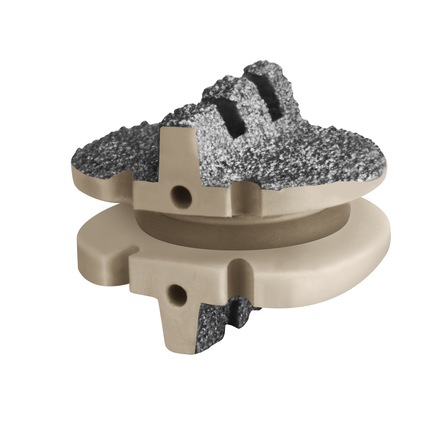 SECURE®-C3 Cervical Artificial Disc | International