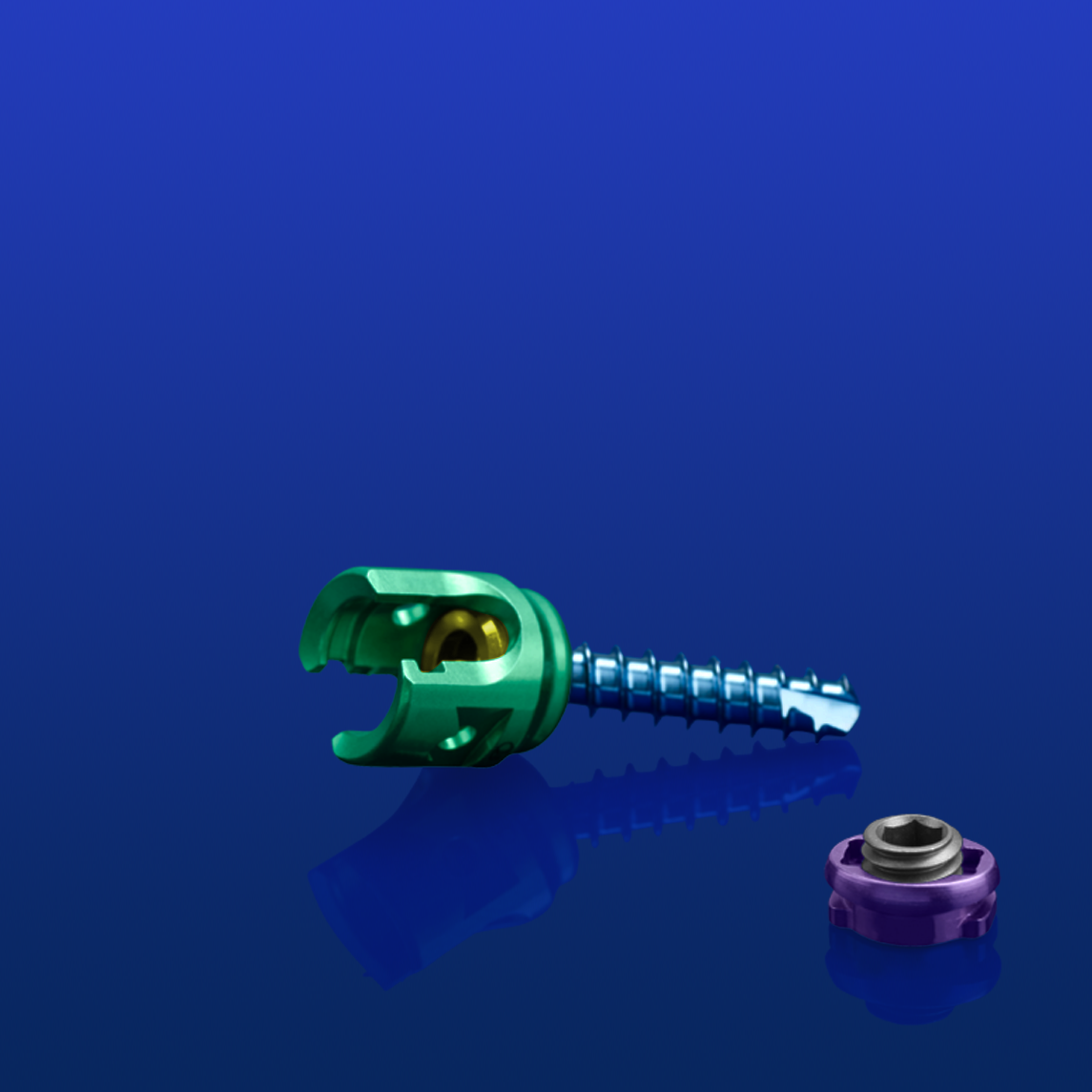 ELLIPSE® Posterior Occipito-Cervico-Thoracic Stabilization System ...