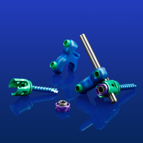 ELLIPSE™ Posterior Occipito-Cervico-Thoracic Stabilization System ...
